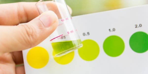 How to Effectively Remove Ammonia from Your Koi Pond