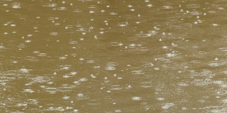 How to Clear Brown Water in Koi Pond: Effective Solutions