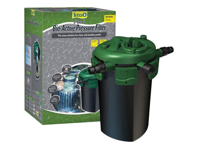 How to Filter a Koi Pond: Essential Tips for Crystal Clear Water