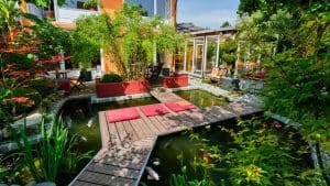"How to Shade a Koi Pond: Expert Tips for Maintaining Ideal Water Quality"