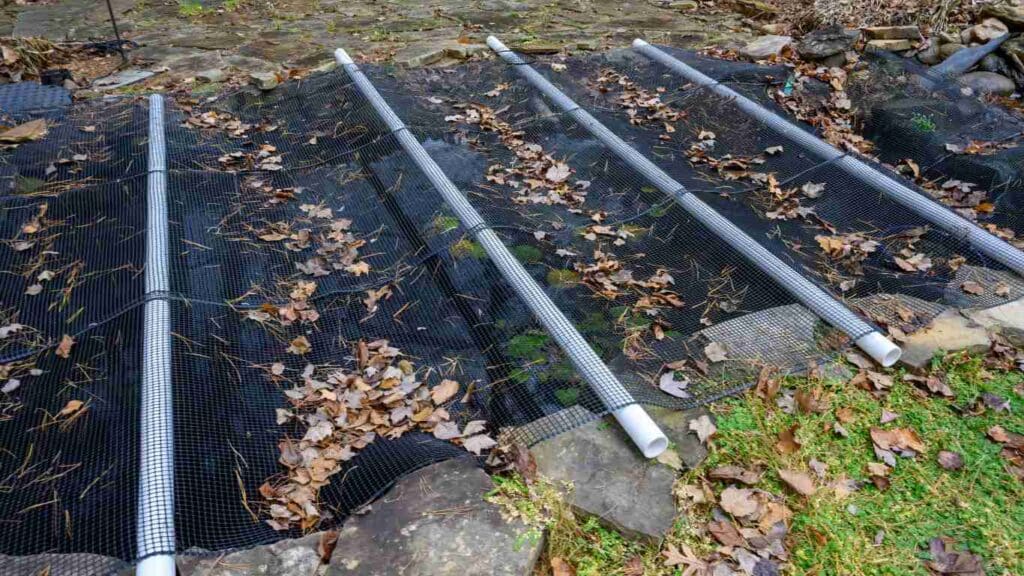 How to Protect Your Koi Pond from Predators: Proven Strategies for Safety