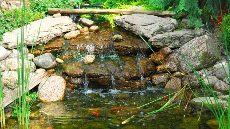 How to Build a Koi Pond with a Waterfall: A Step-by-Step Guide