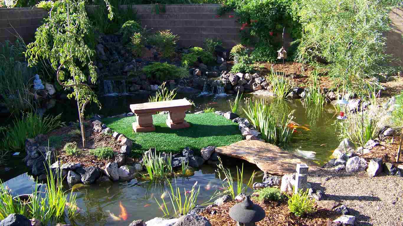 Can Crayfish Live in a Koi Pond? Insights into Aquatic Compatibility