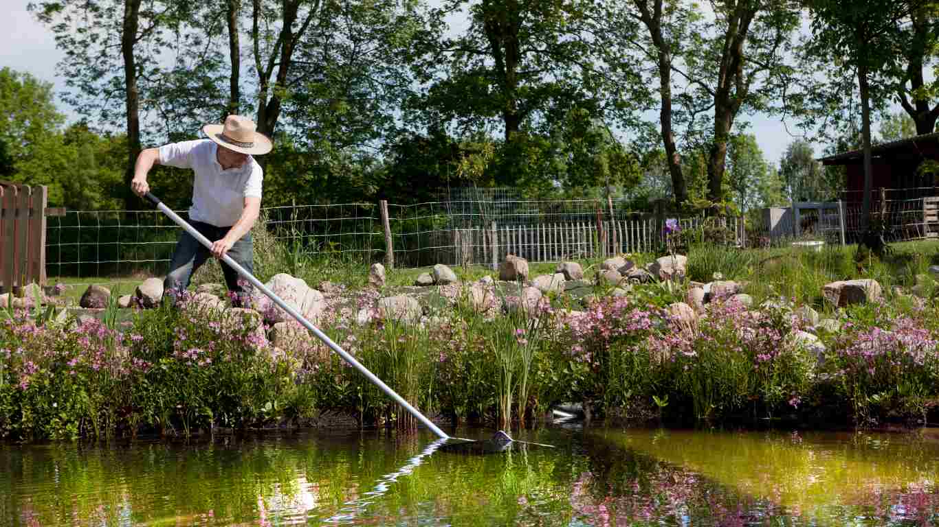 How to Keep Algae Out of Koi Pond: Expert Strategies for a Crystal ...