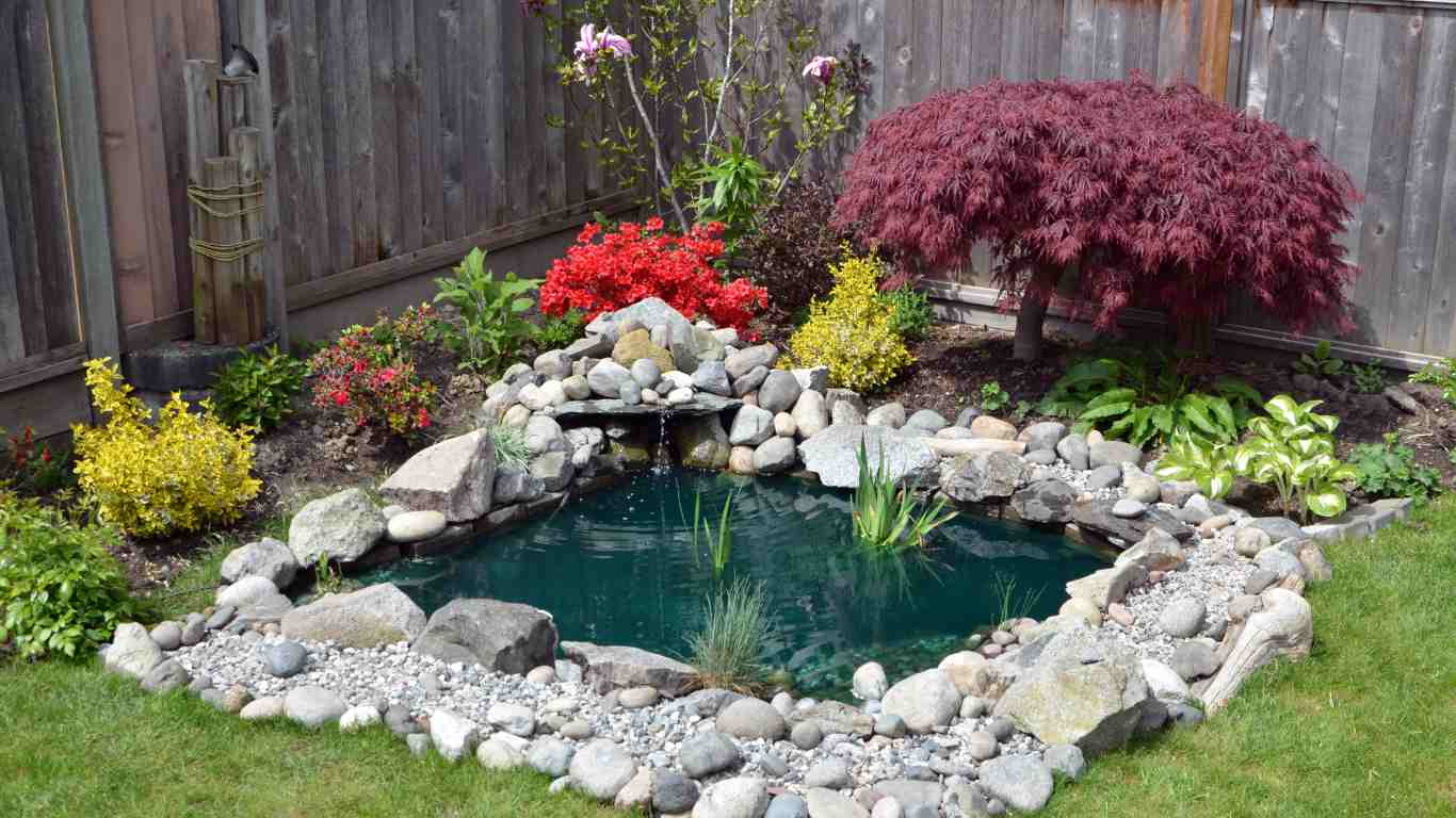 How Many Koi Can You Keep in a 100 Gallon Pond? Understanding Fish ...