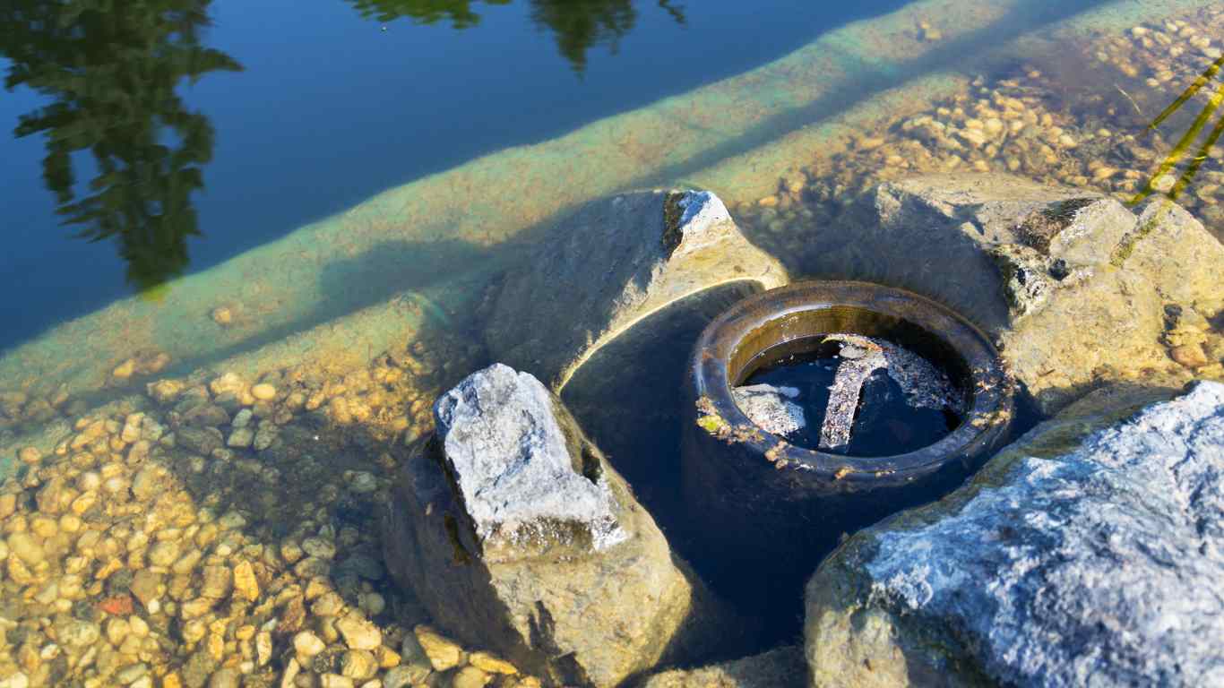 How to Lower Nitrates in Your Koi Pond: A Comprehensive Guide