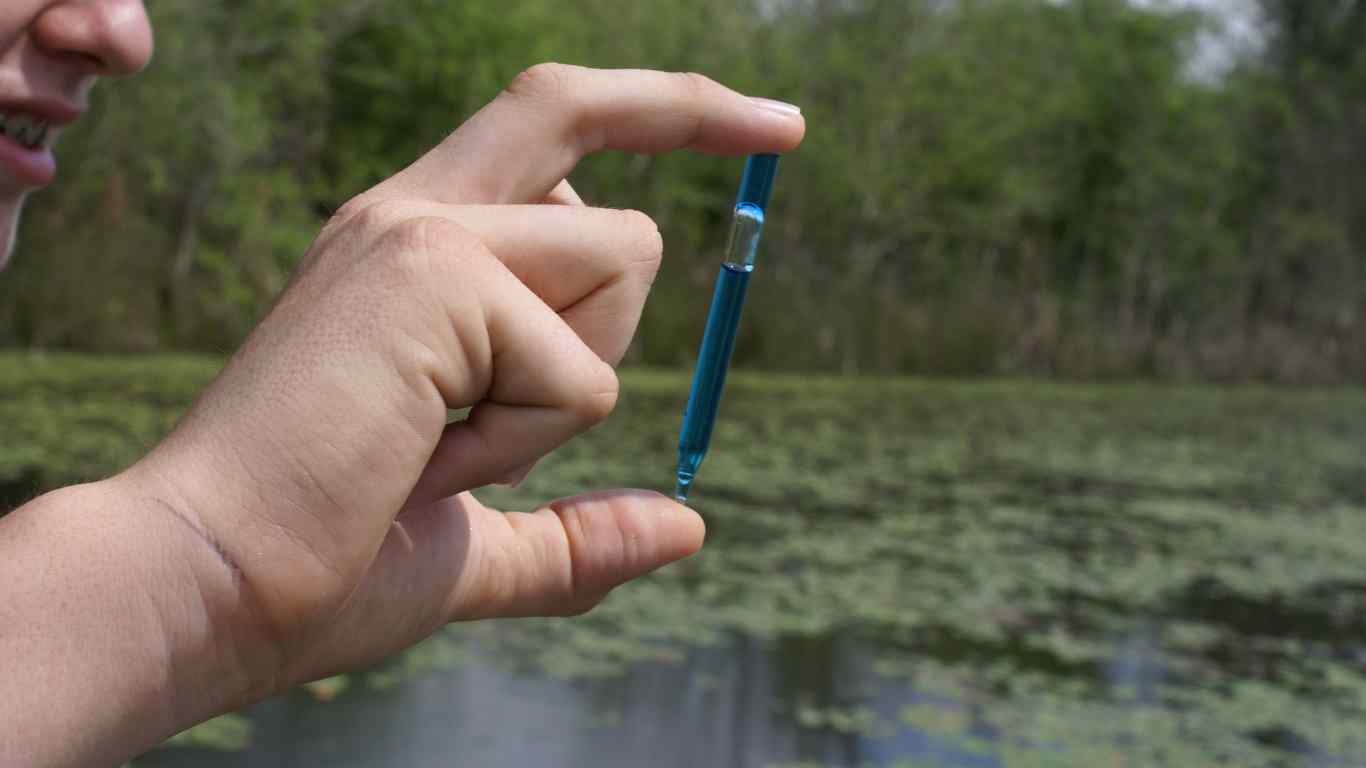 How to Lower Nitrates in Your Koi Pond: A Comprehensive Guide